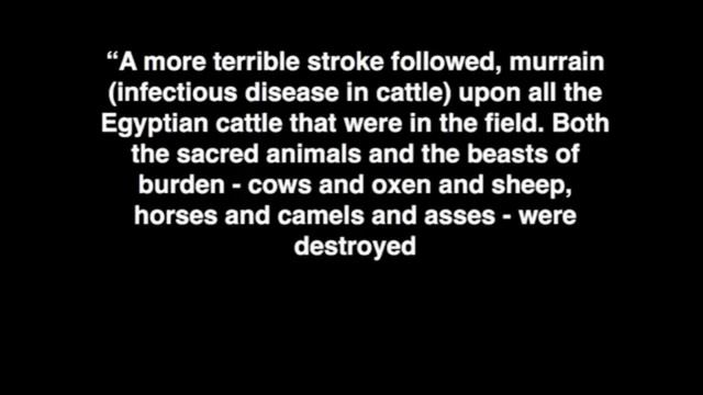 Моровая язва и Воспаление - Исход - Франсуа дюПлесси (8006)