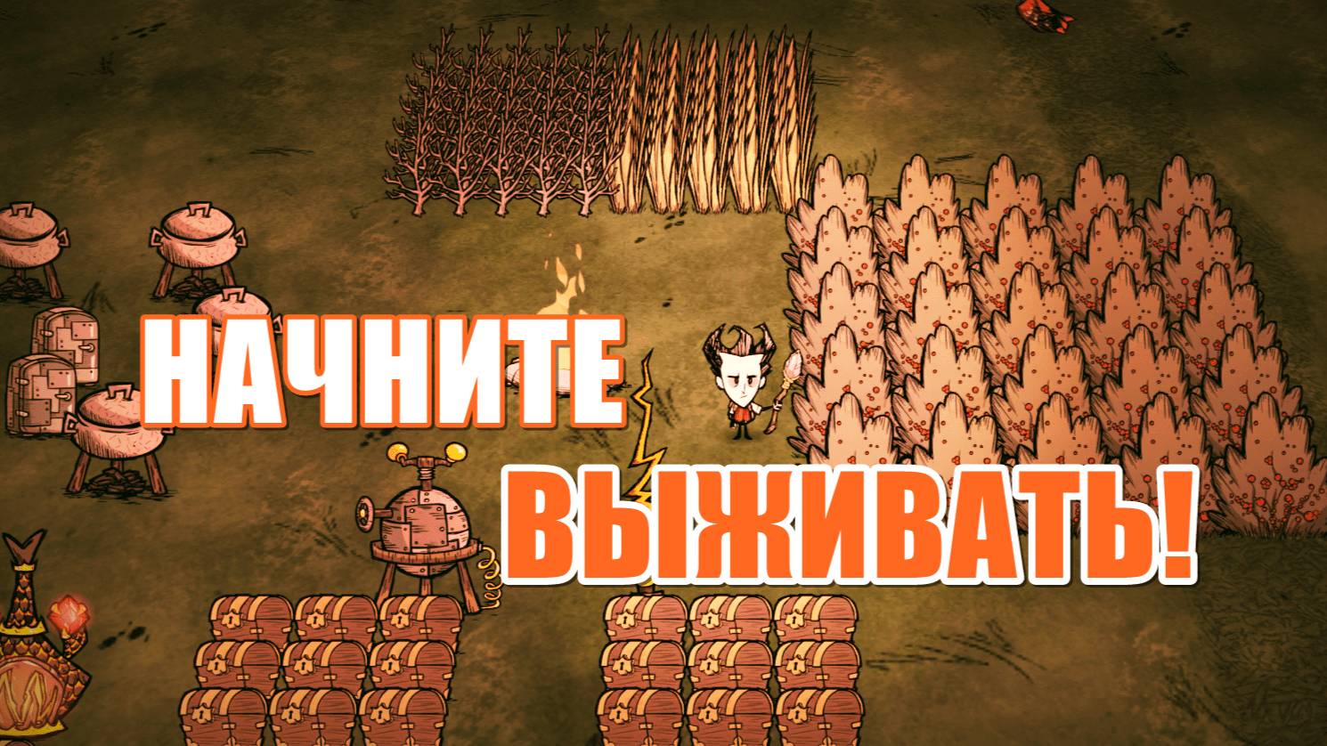 Гайд для новичков #1. Донт Старв Тугезер