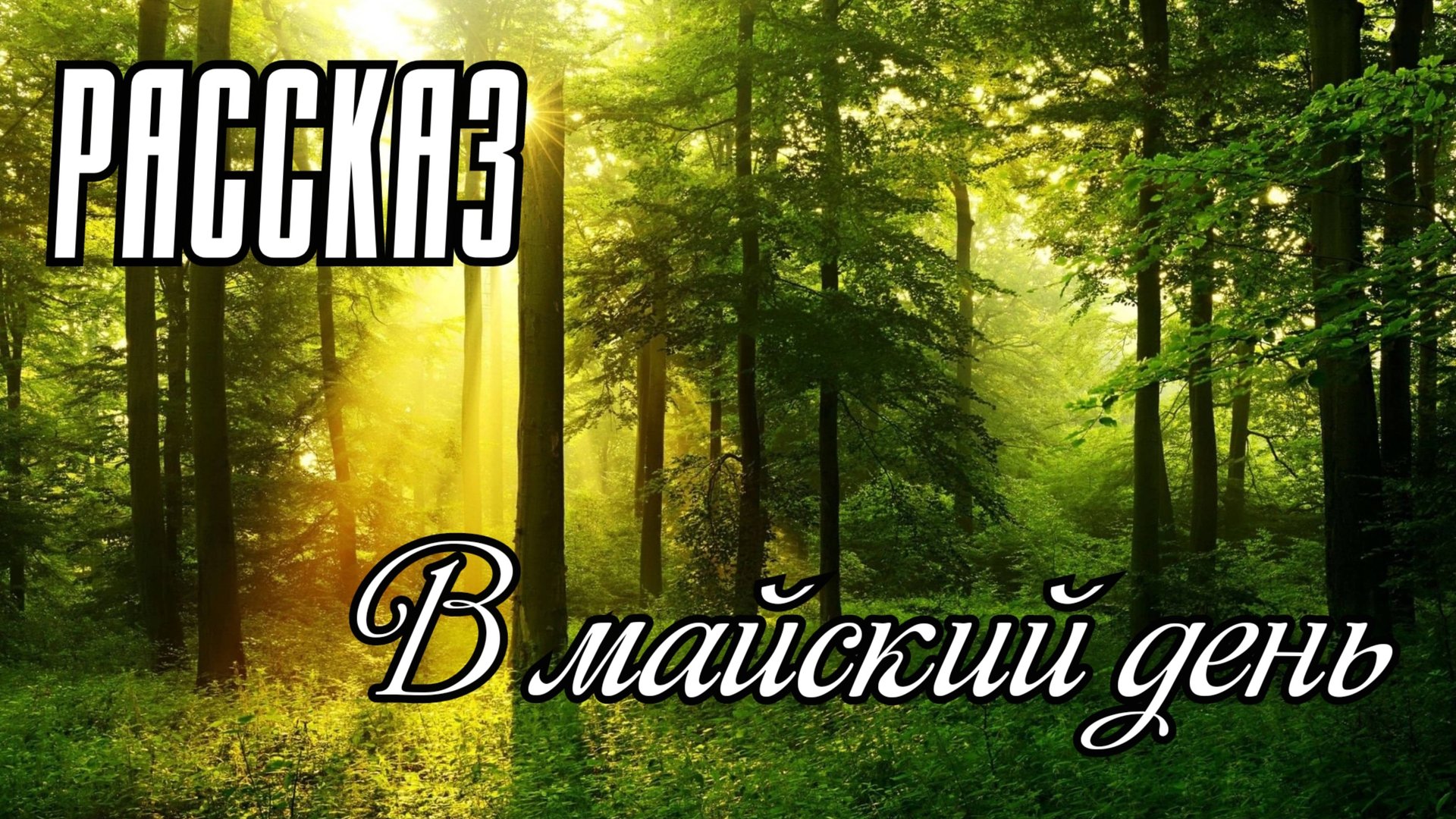 Рассказ - В майский день☀