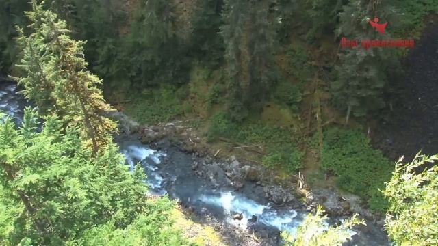 Киевские старцы.Наставления.