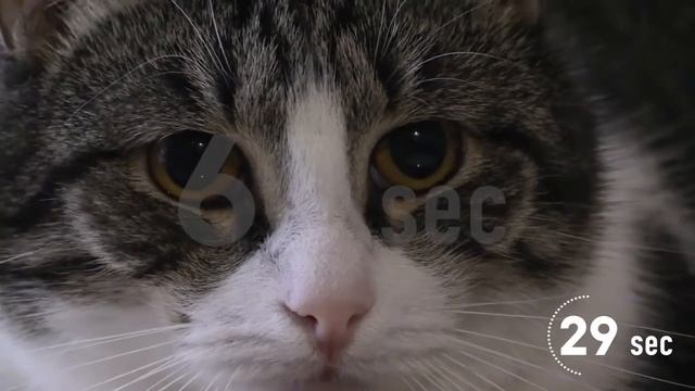 Выставка "Неслучайная встреча": обзор за  60 секунд