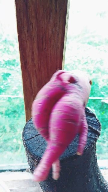 Редиска в фантазийной огранке...