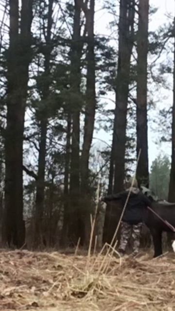 Когда всё пошло не по плану