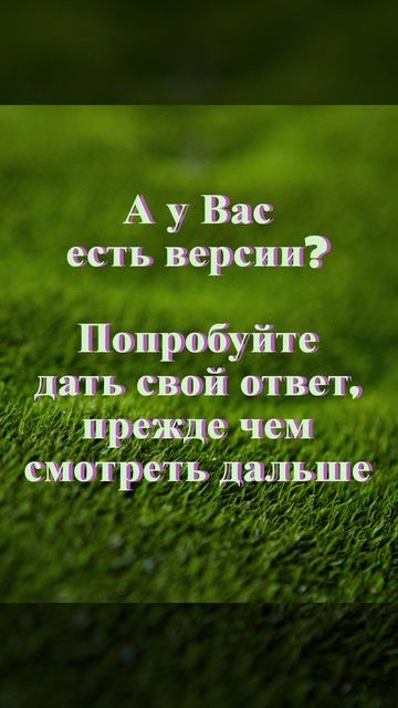 Винни-Пух и личный бюджет