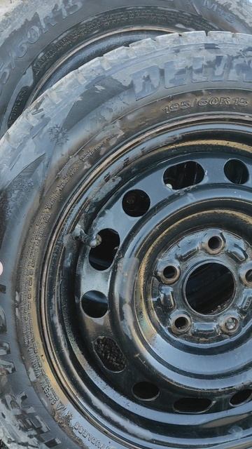 Шины Delinte Winter WD1 обзор