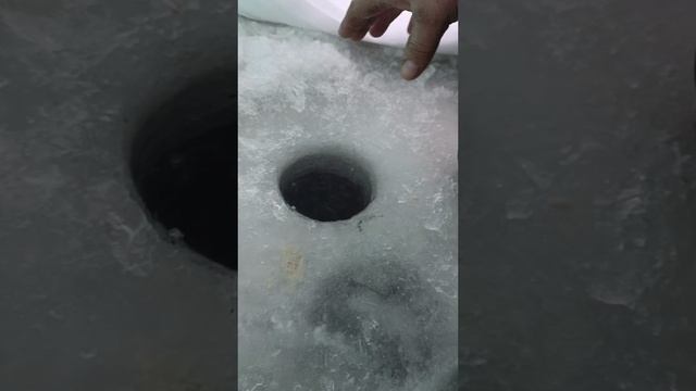 Ловим чебаков! 👍