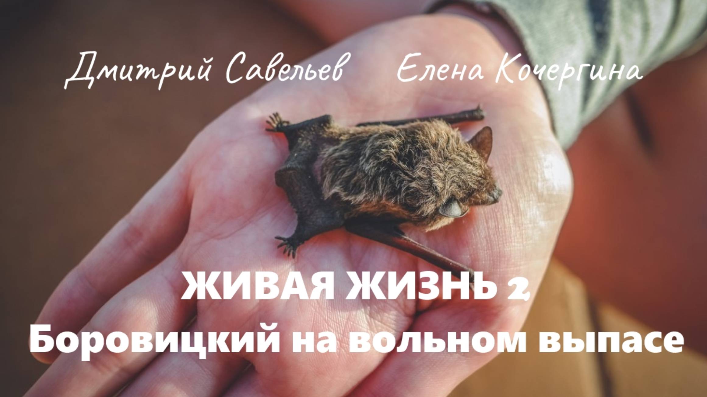 Живая жизнь 2. Боровицкий на вольном выпасе. Ч. 15