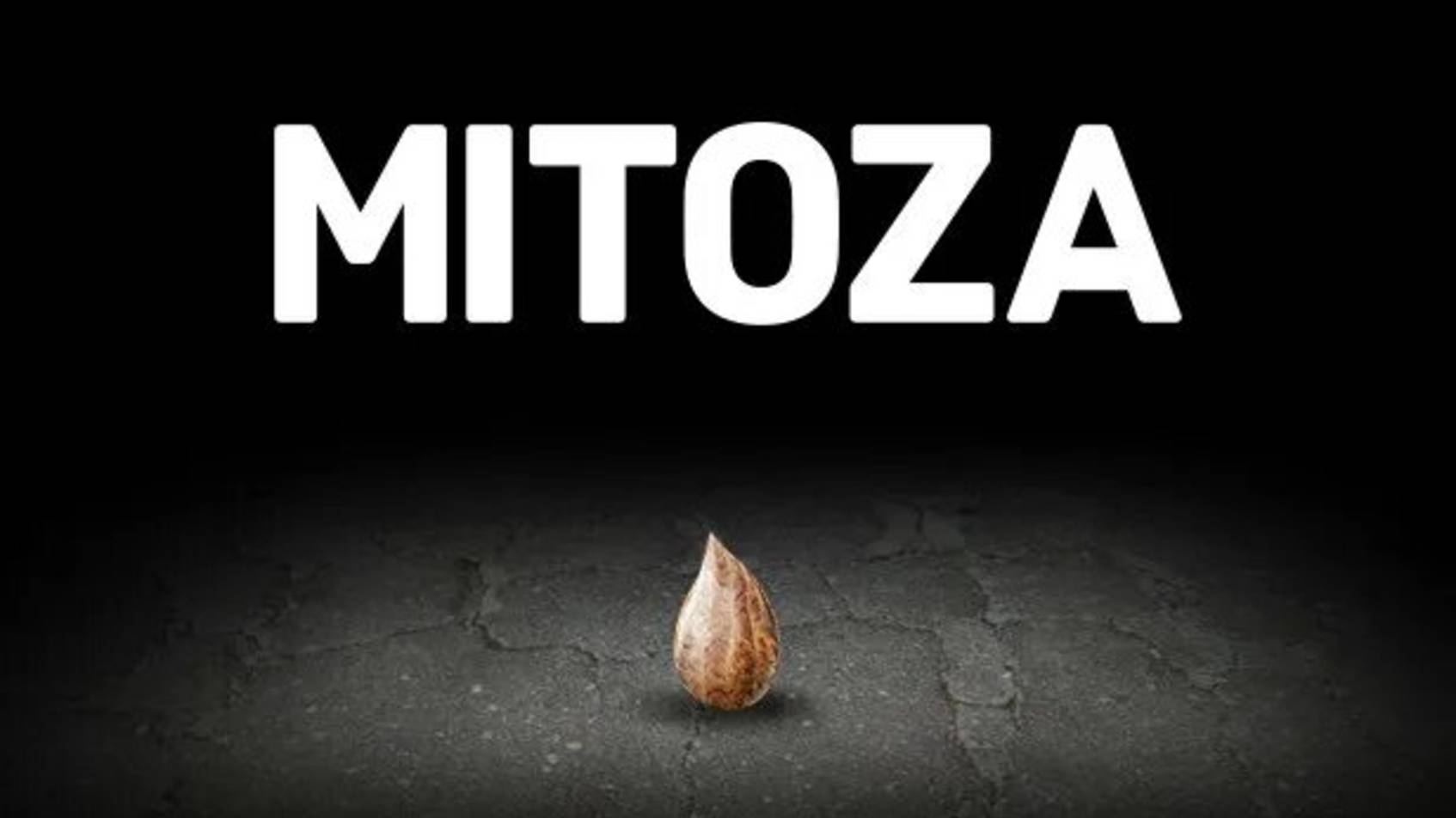 Mitozа
