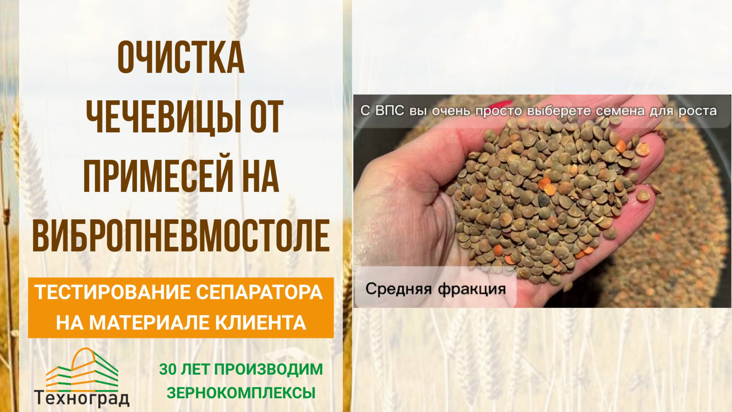 Очистка чечевицы от примесей на сепараторе для зерна