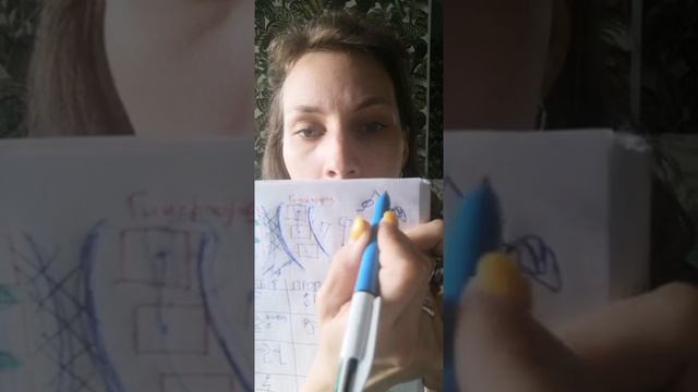 прогиб анатомия