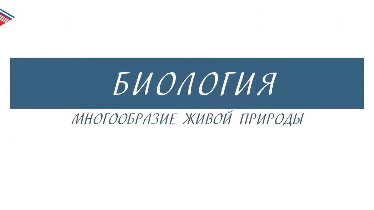 6 класс - Биология - Многообразие живой природы