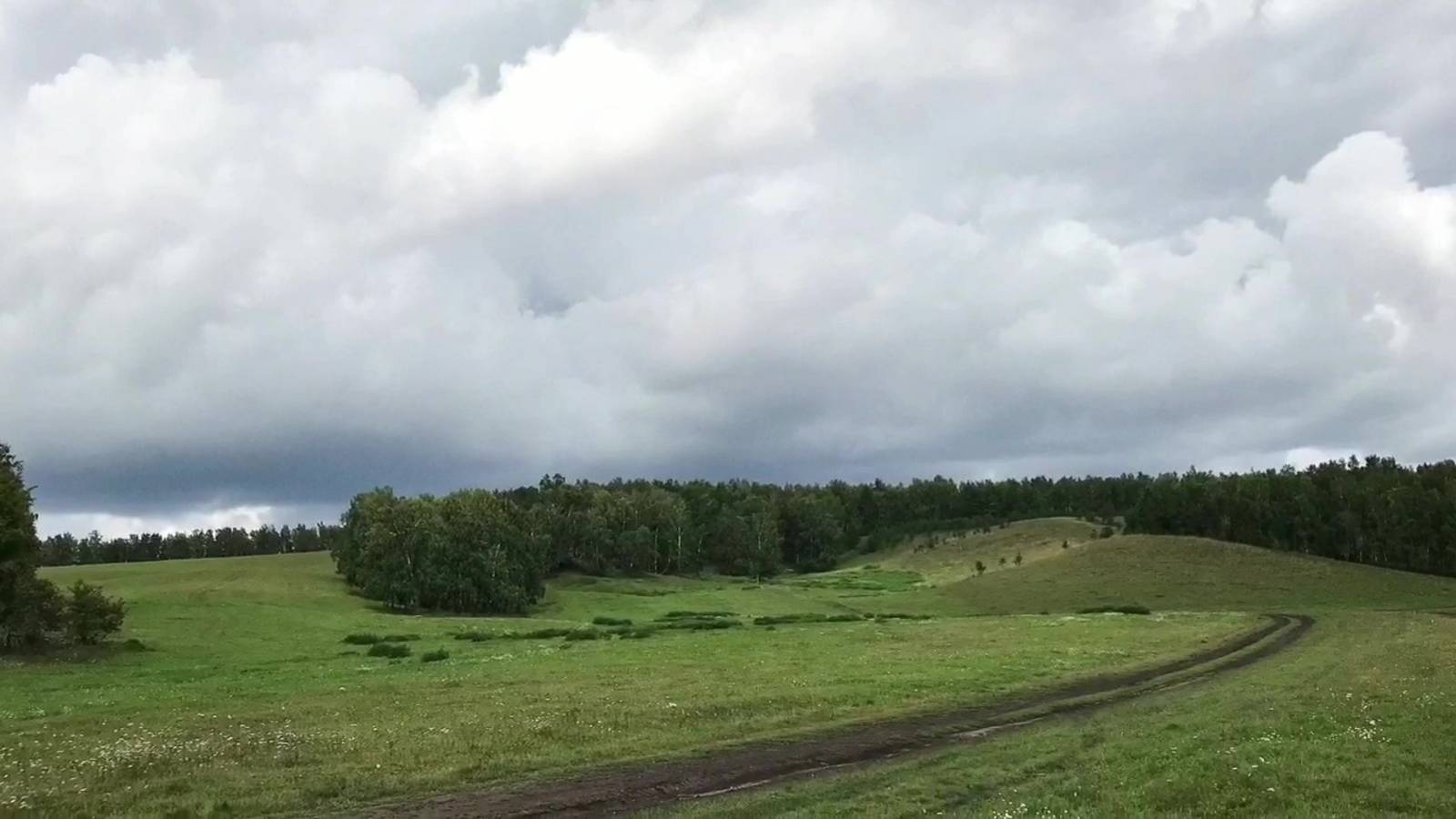 Невыдуманные истории. Грибное приключение.