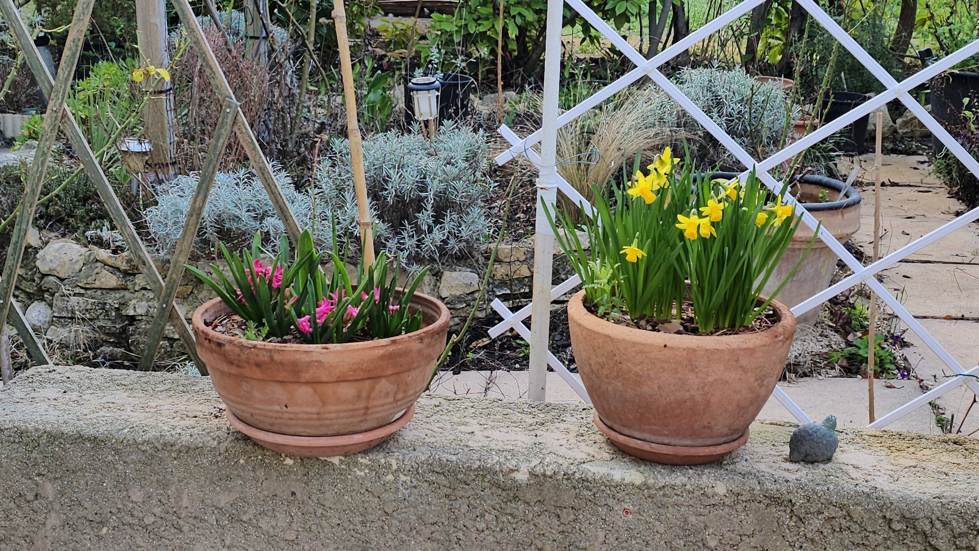 Ну, что? Теперь только про весенний сад. Время несётся...Новый лук террасы -мне нравится!)