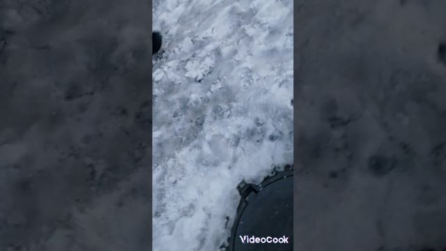 Прятки