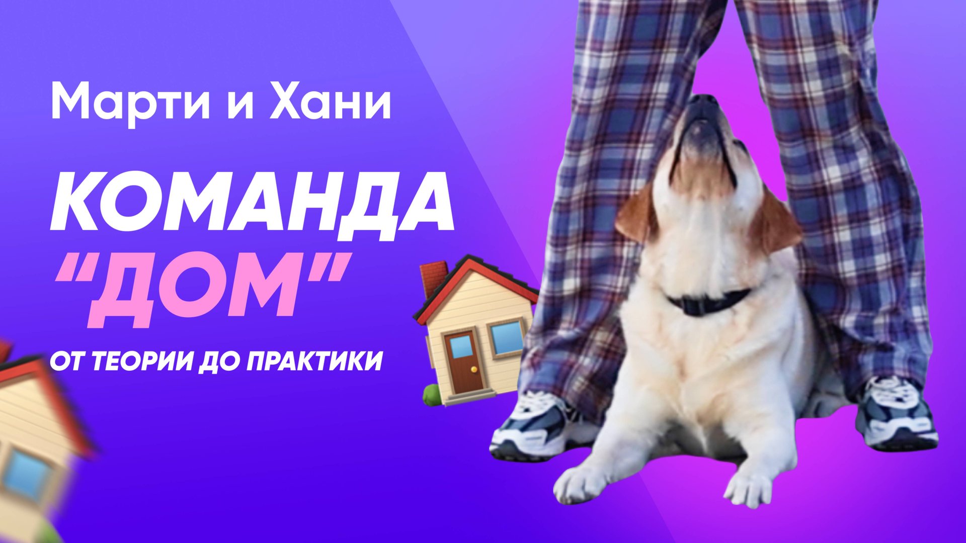 КОМАНДА ДОМ ДЛЯ СОБАКИ / РАЗНООБРАЗИЕ КОМАНДЫ / ДРЕССИРОВКА СОБАКИ С НУЛЯ / ТЕОРИЯ И ПРАКТИКА