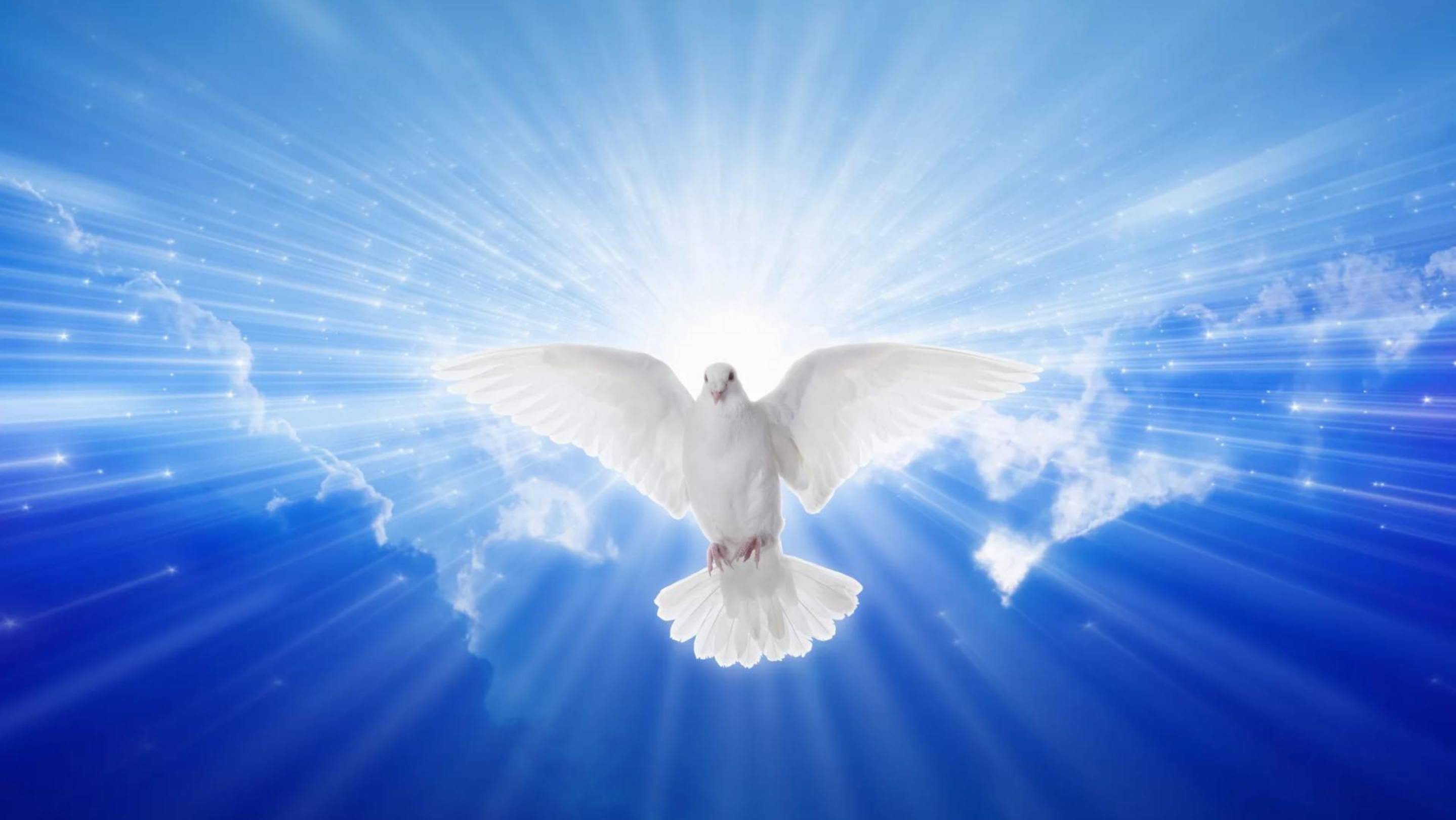 11+Пред Богом Святым!