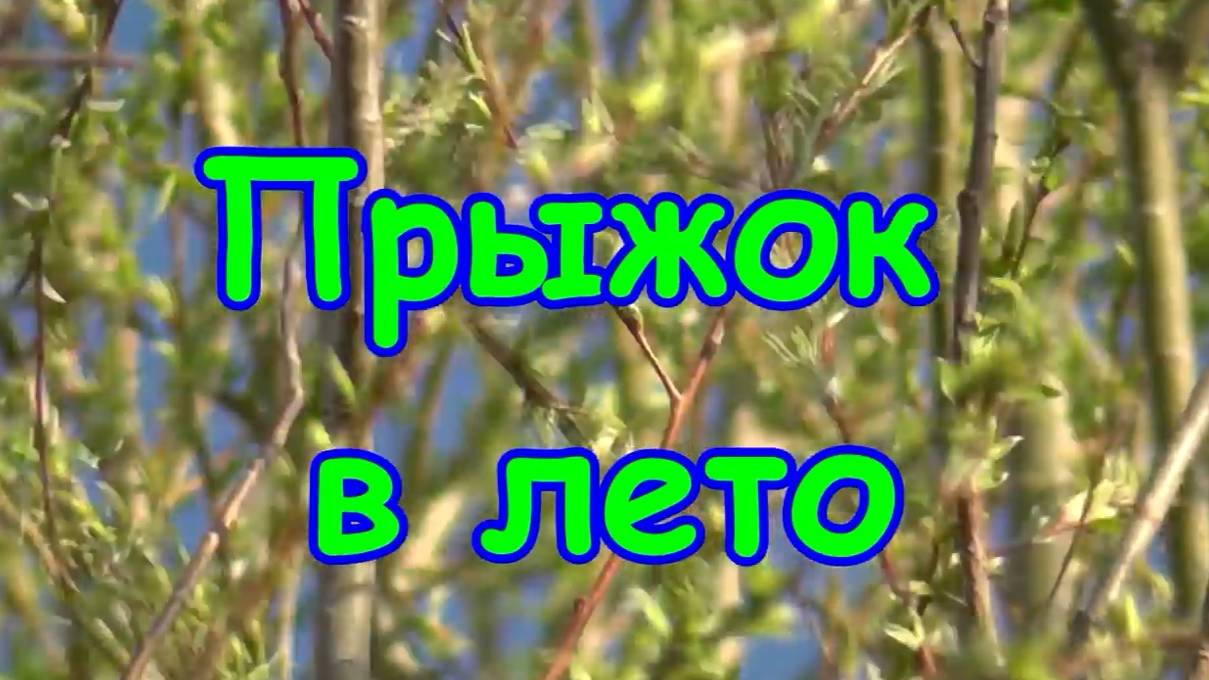 Прыжок в лето, Дельта Волги апрель 2019г
