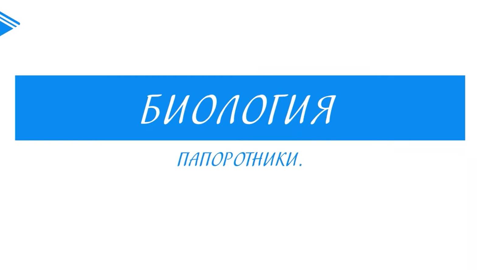 6 класс - Биология - Папоротники