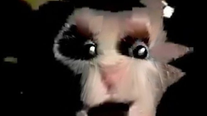 играем в амонг ас