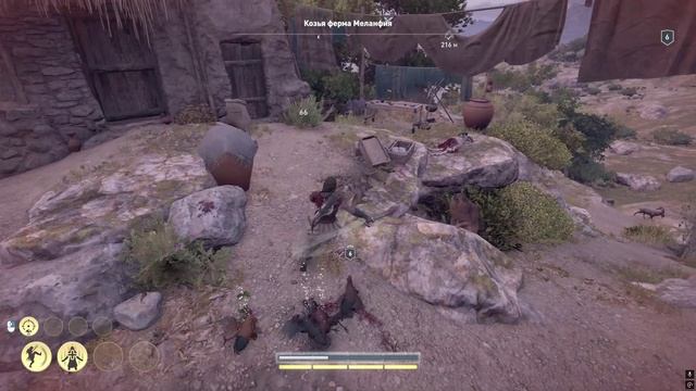 Петухи атакуют!!!!