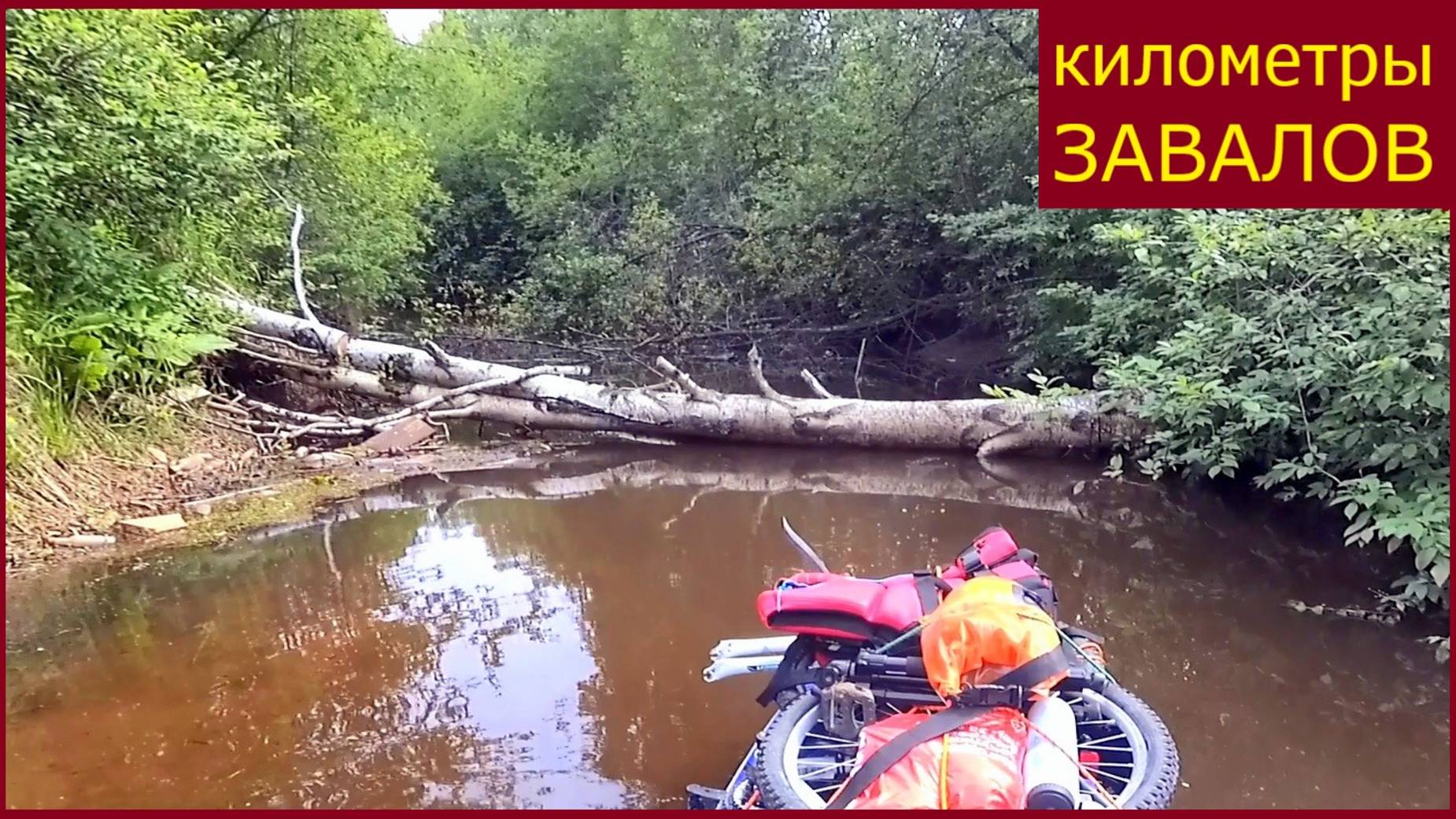 сплав на сапборде с велосипедом по Уральским джунглям реки чёрная