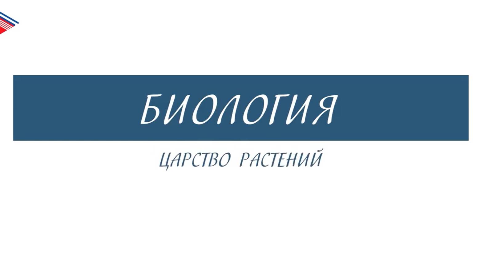 6 класс - Биология - Царство растений