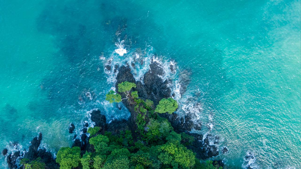 Расслабляющая музыка для души: Гармония и спокойствие в каждом звуке 🎶🧘♀️