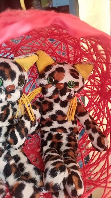 Сестрёнки Пятнашка и Точка 
Коллекция "Рыжие бенгальские"
Котята олицетворяют Осень.