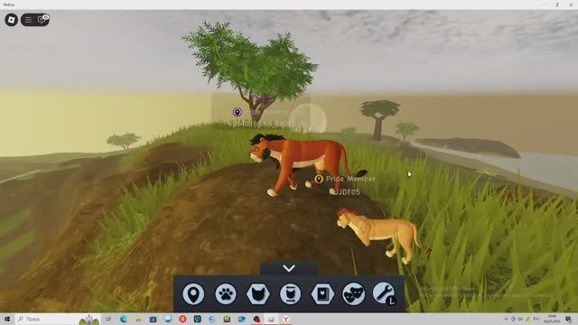 песня Таки и Муфасы-я всегда хотел брата- гордость льва роблокс