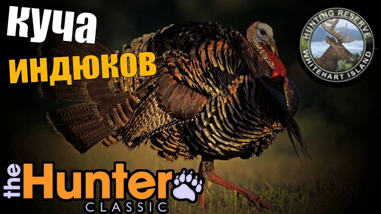 The Hunter Classic: Stealth Hunting - Скрытная Охота в Прямом Эфире! LIVE #3