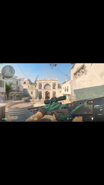 AWP-древесная гадюка