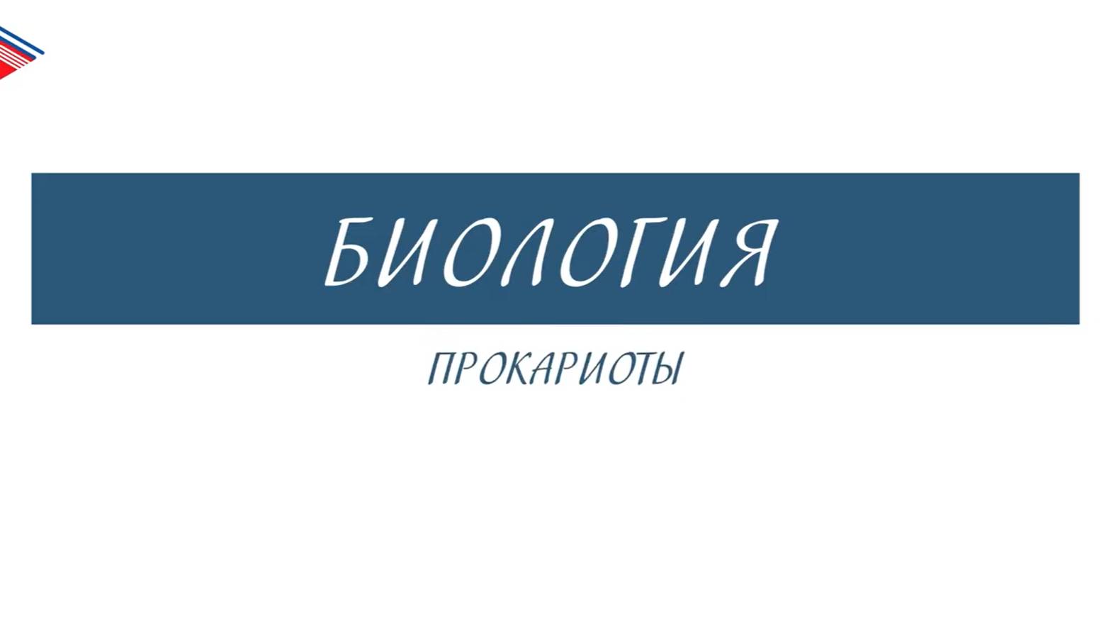 6 класс - Биология - Прокариоты