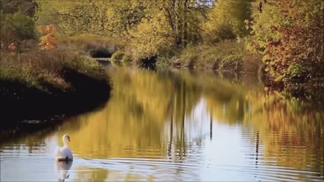 Поздняя осень (муз., сл. и исполнение Л.Горцуевой)