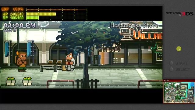 river city-tokyo rumble nintendo 3ds
