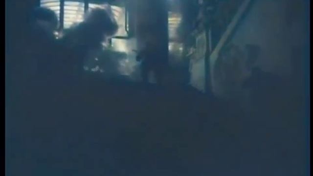 Освобождение Австрии. 1945 г.