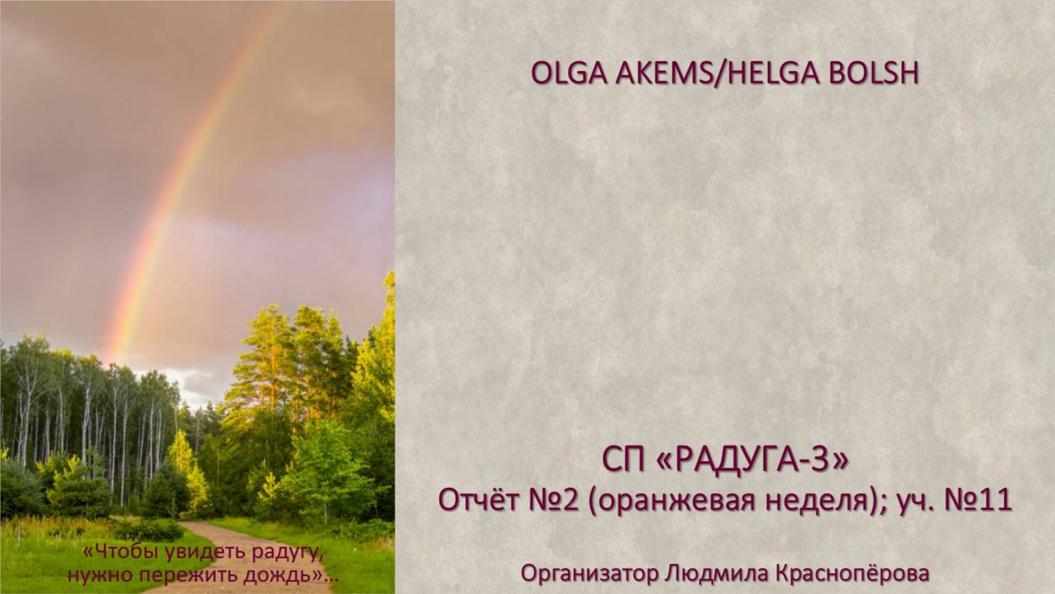 СП "Радуга -3" отчёт №2 (оранжевая неделя) уч №11