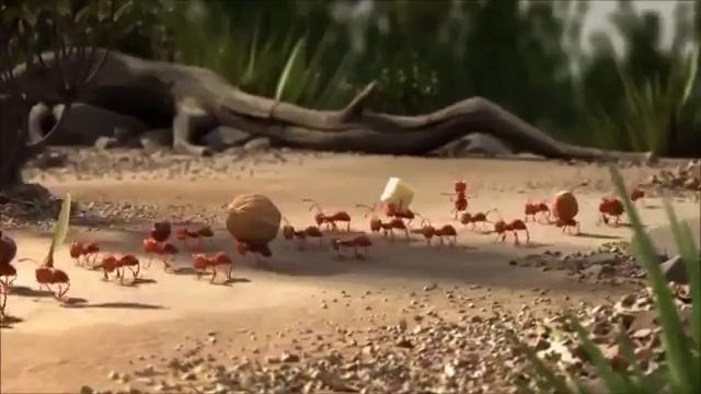 РЕКЛАМА АВТОБУСОВ