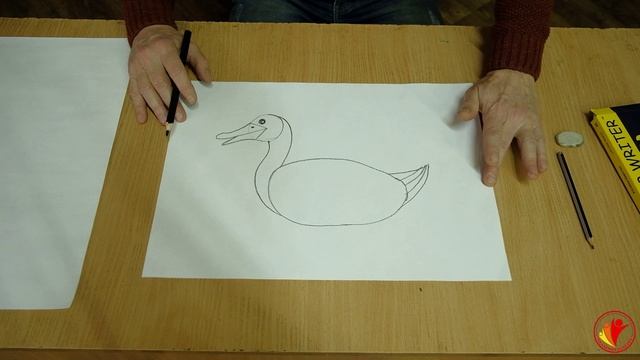 ПТИЦЫ. РИСУЕМ ПТИЦ. УНИВЕРСАЛЬНЫЙ МАСТЕР-КЛАСС | СТУДИЯ ИЗОБРАЗИТЕЛЬНОГО ИСКУССТВА АЛЬТАИР