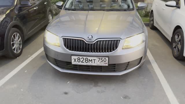 Skoda Octavia A 7 - Выездная диагностика - Осмотр кузова