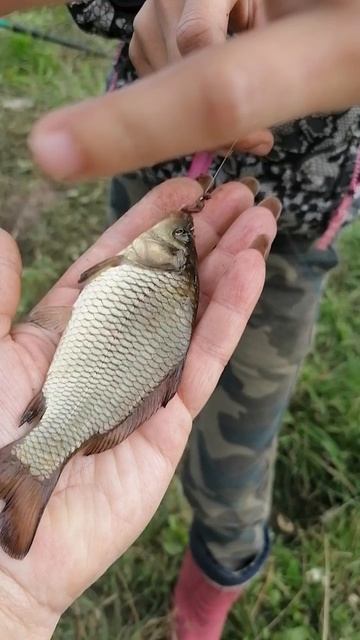 Как выросли КАРПЯТА с трёх грамм за сезон! #карп #зарыбление #белыйамур #толстолобик #рыбалка