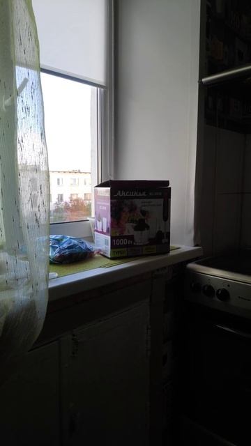 котики: что скрывается в коробке?