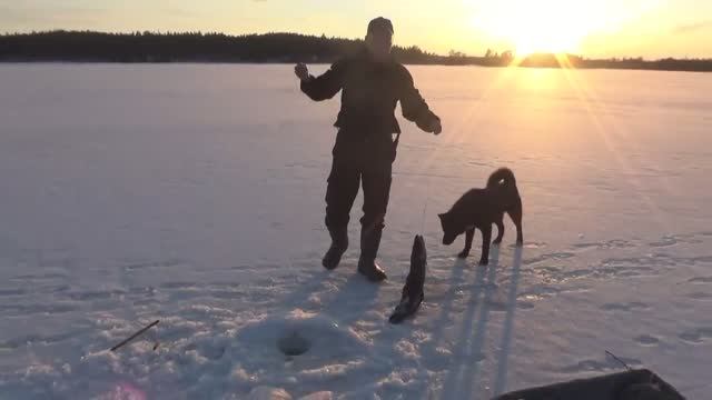 В ТАЙГУ НА ТРОЕ СУТОК _ Часть 2 _ Рыбалка _ Налим и щуки_ Изба _ Быт