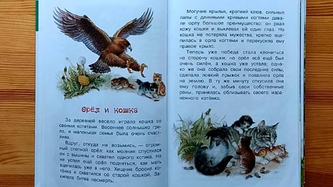 Ограждение детей от "жестокостей" классиков?