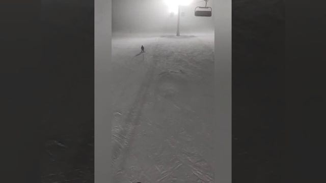 активный отдых: новогодние праздники. "Big Wood"