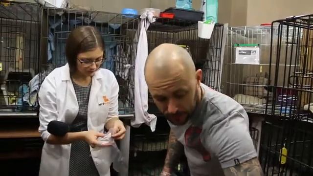 "Муркоша" на онлайн-конференции "Суперздоровье-2018"