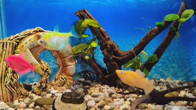 Мой аква -релакс.