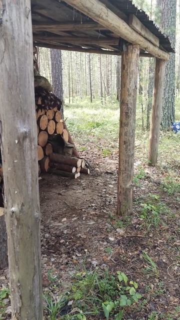 #заимка #изба #тайга #охота #угодья  #shorts