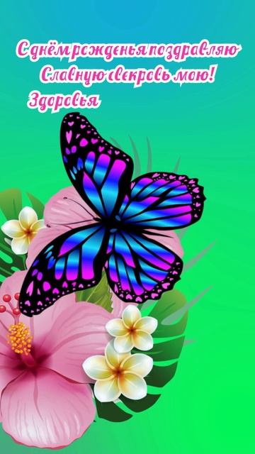 Видео поздравление с днём рождения свекрови | SunPikRu