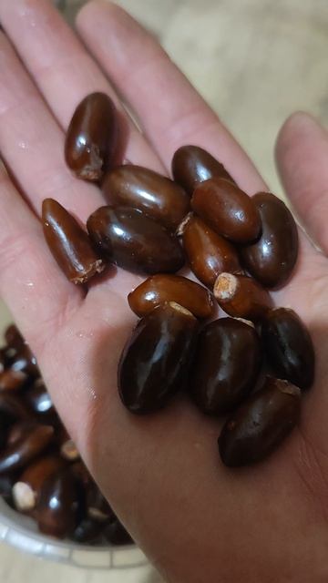 Личи, лиджи, китайская слива, глаз дракона, лиси (лат. Litchi chinensis)