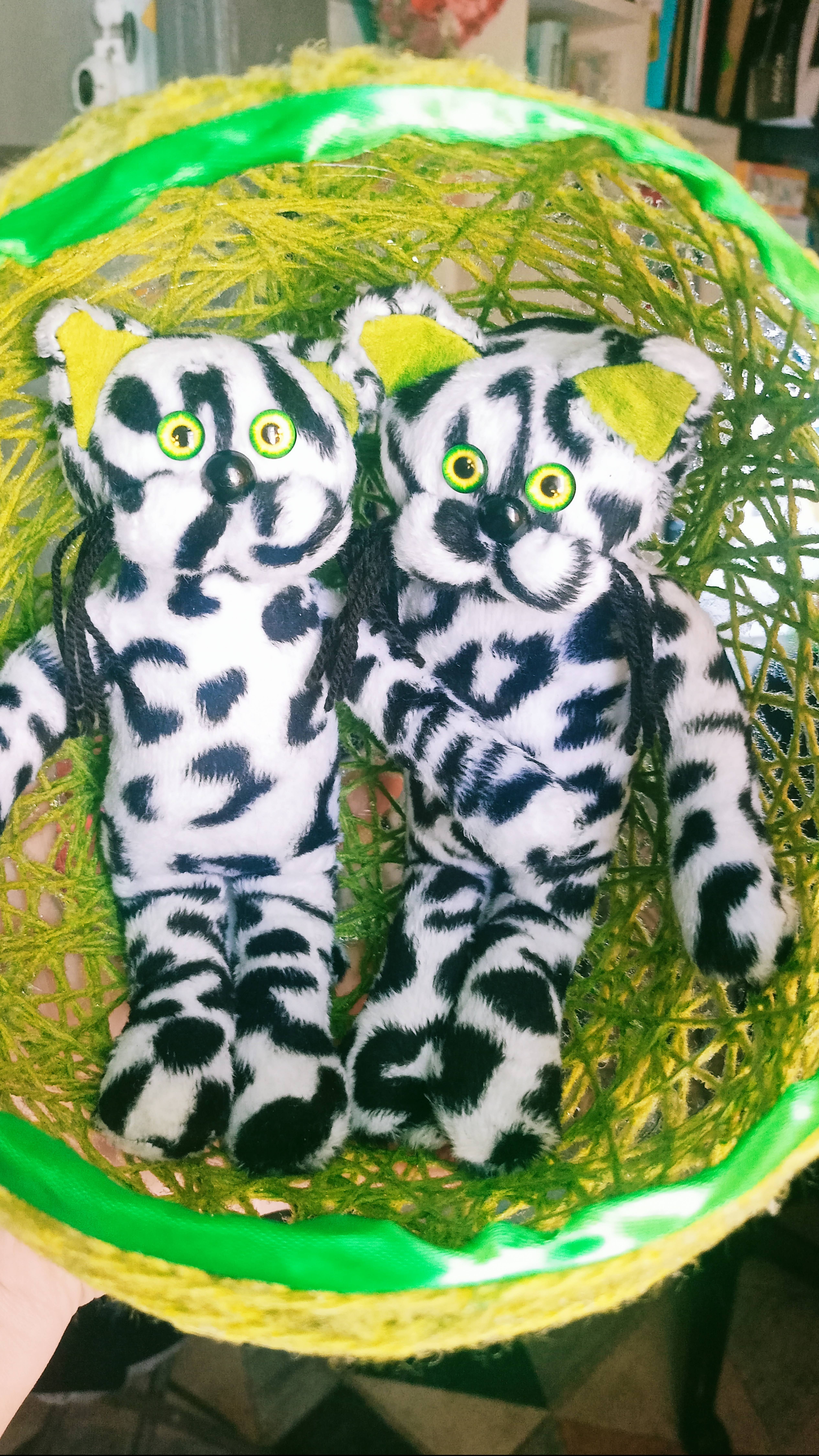 Котята Мик и Пик.
Работаю над созданием домика для этих славных мальчиков.